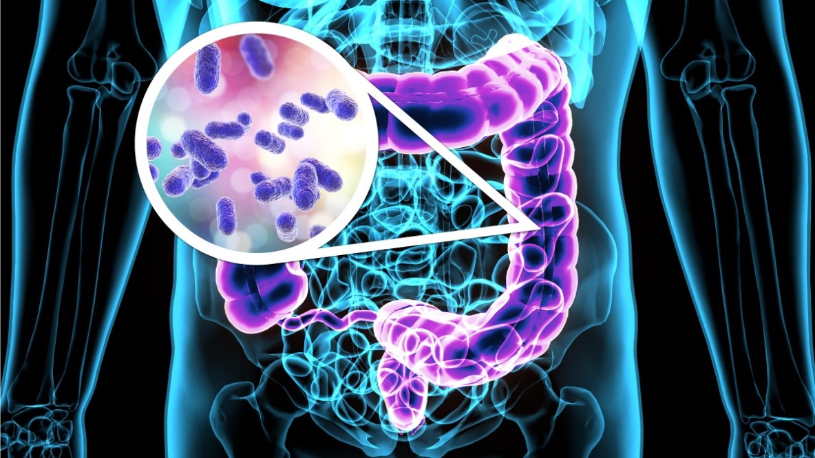 The Power of the Gut Microbiome | Impact on Health & Wellbeing