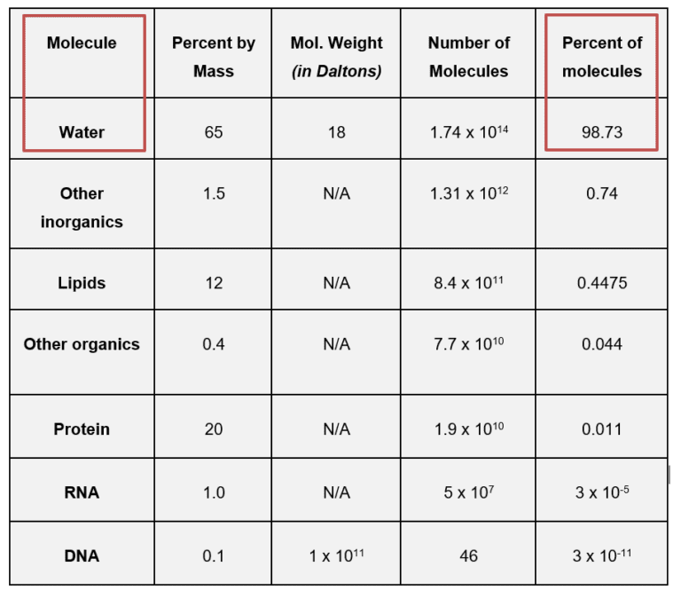 Water: More Significant Than You Think | Analemma Water